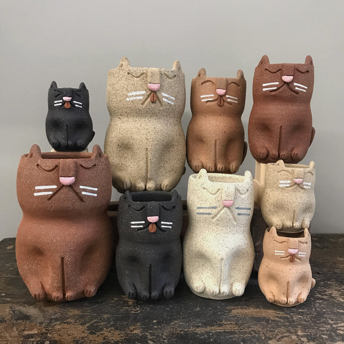 Moodie Cats – Aloe Frost